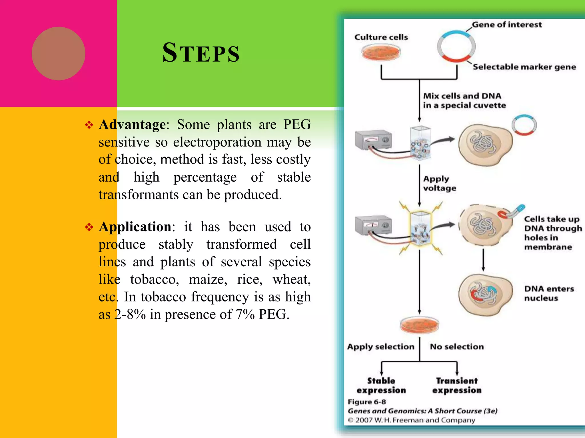Methods of gene transfer in plant | PPTX
