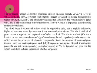 Methods of gene transfer in plant | PPTX