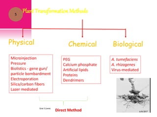 Methods of gene transfer in plant | PPTX