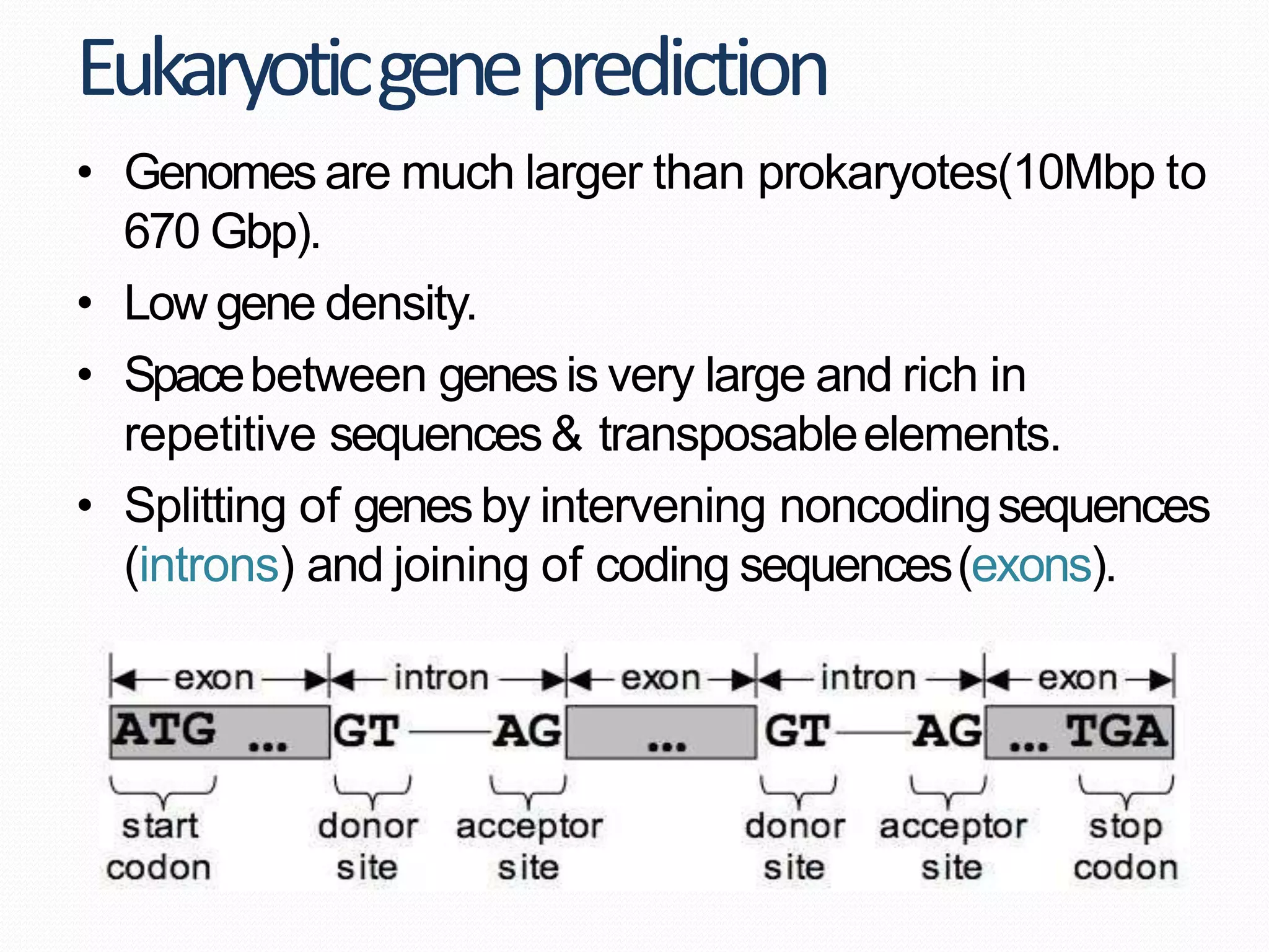 Gene prediction and expression | PPTX
