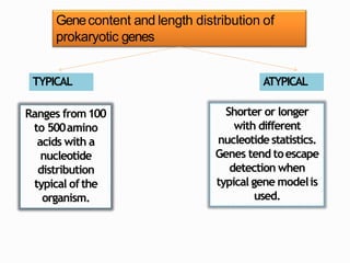 Gene prediction and expression | PPTX