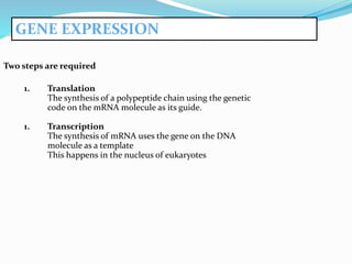 Gene prediction and expression | PPTX