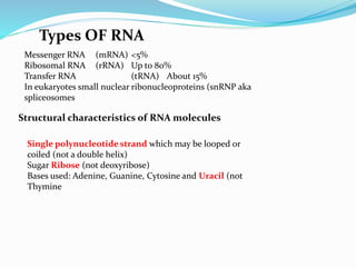 Gene prediction and expression | PPTX | Programming Languages | Computing