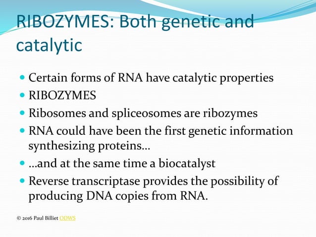 Gene prediction and expression | PPT