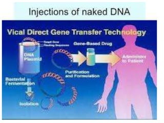Gene | PPT | Free Download