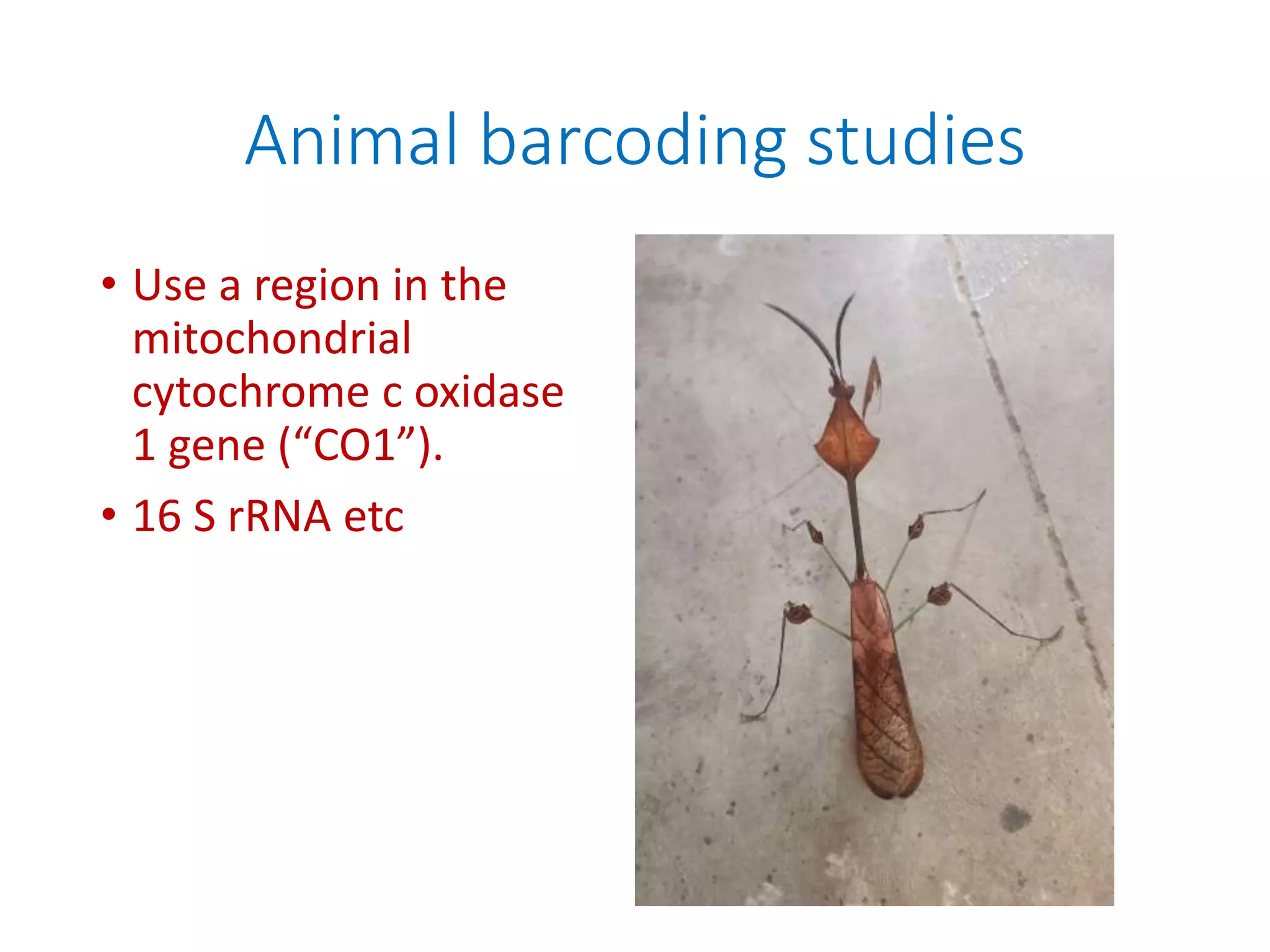 DNA BARCODING INTRODUCTION | PPTX