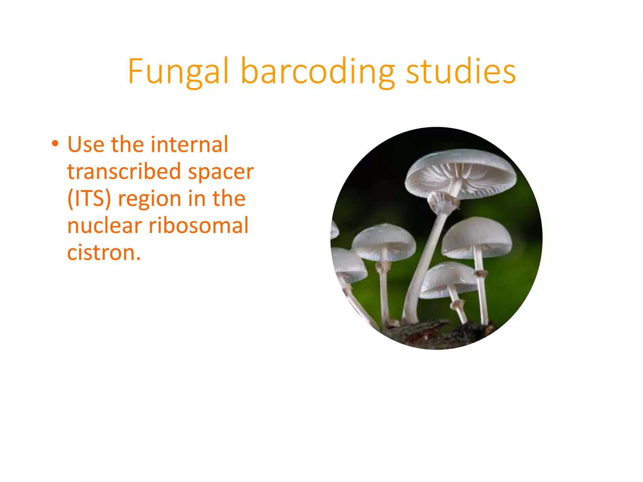 Dna Barcoding Introduction Pptx Genetics Science