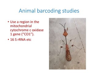 DNA BARCODING INTRODUCTION | PPTX