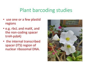 DNA BARCODING INTRODUCTION | PPTX