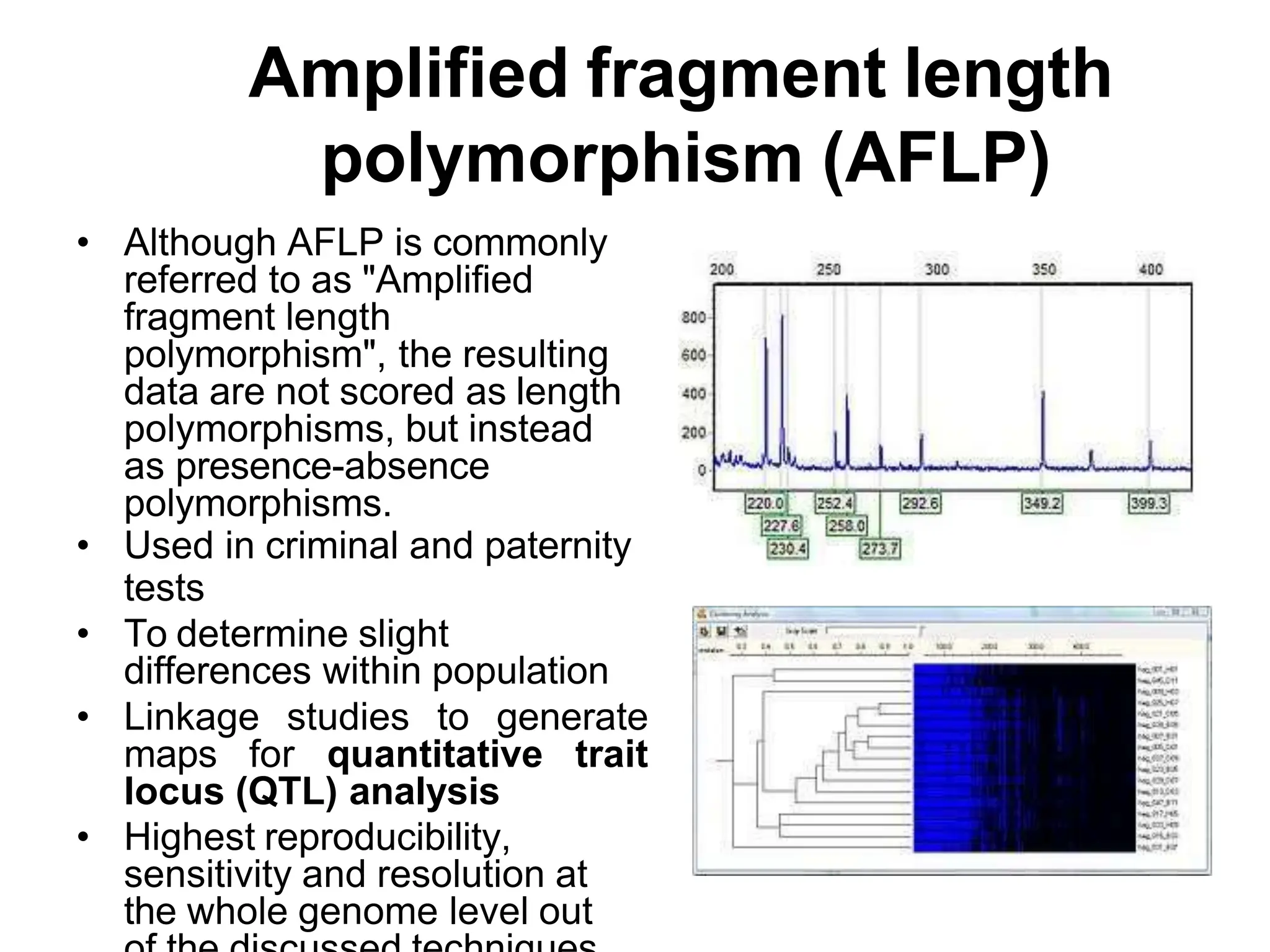 GENE marker typing , abo blood grouping ,karl lamdsteiner | PPT
