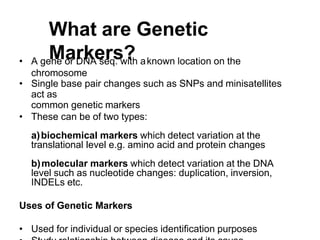 GENE marker typing , abo blood grouping ,karl lamdsteiner | PPT