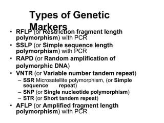 GENE gene marker blood typing , abo blood typing vntr | PPTX ...
