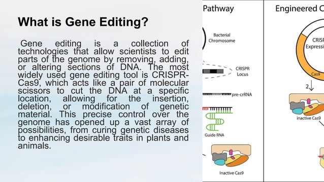 GENE-EDITING-ETHICAL-AND-SOCIETAL-IMPLICATIONS - Copy.pptx | Biotech ...