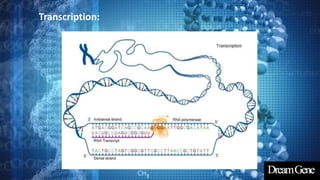 Gene expression-analysis | PPTX