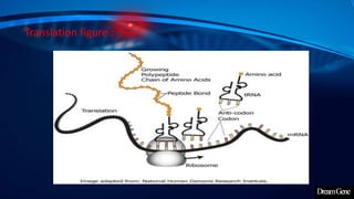 Gene expression-analysis | PPTX
