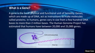 Gene expression-analysis | PPTX