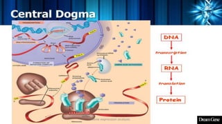 Gene expression-analysis | PPTX | Biological Sciences | Science