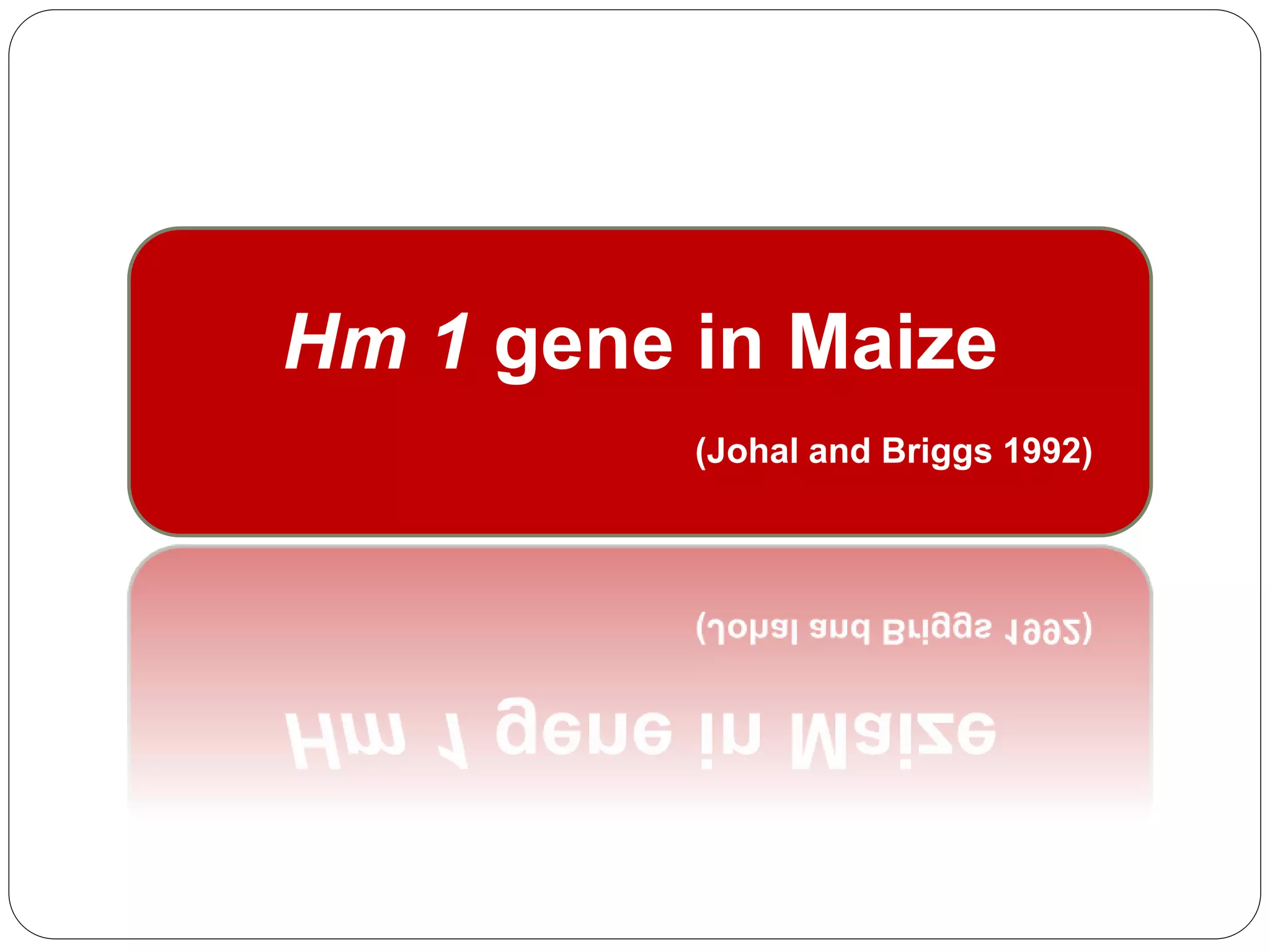Gene for-gene hypothesis & its validty in the present scenario | PPTX