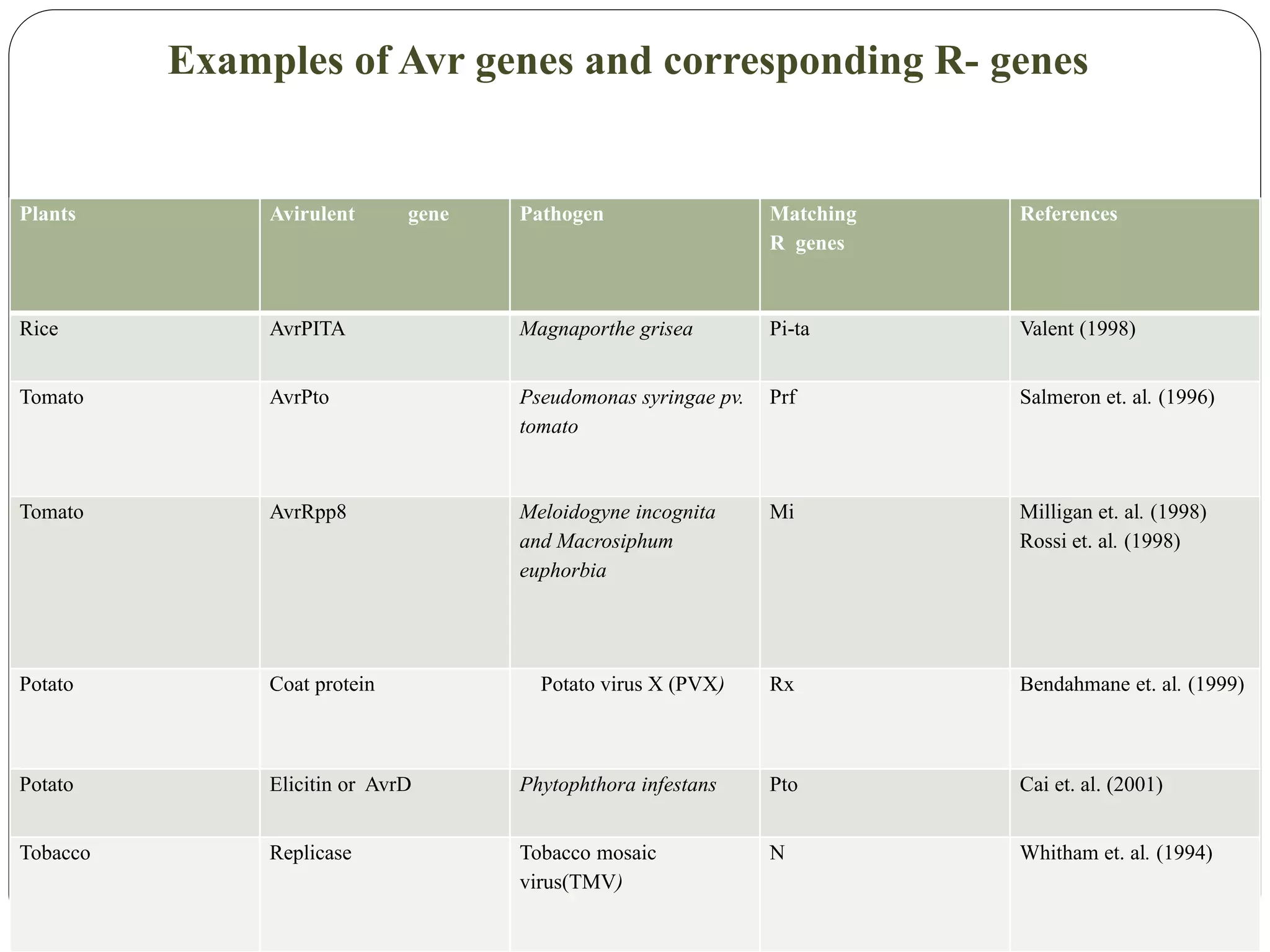 Gene for-gene hypothesis & its validty in the present scenario | PPTX ...