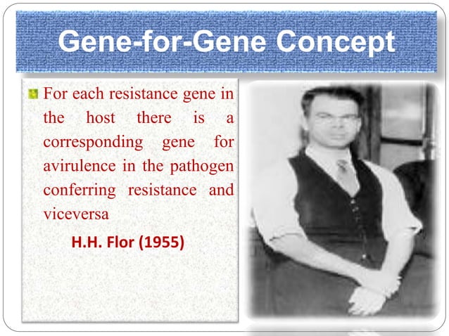 Gene for-gene hypothesis & its validty in the present scenario | PPTX ...