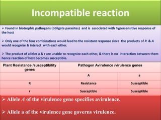 Gene for-gene hypothesis & its validty in the present scenario | PPTX