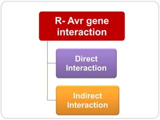 Gene for-gene hypothesis & its validty in the present scenario | PPTX