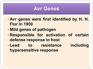 Gene for-gene hypothesis & its validty in the present scenario | PPTX