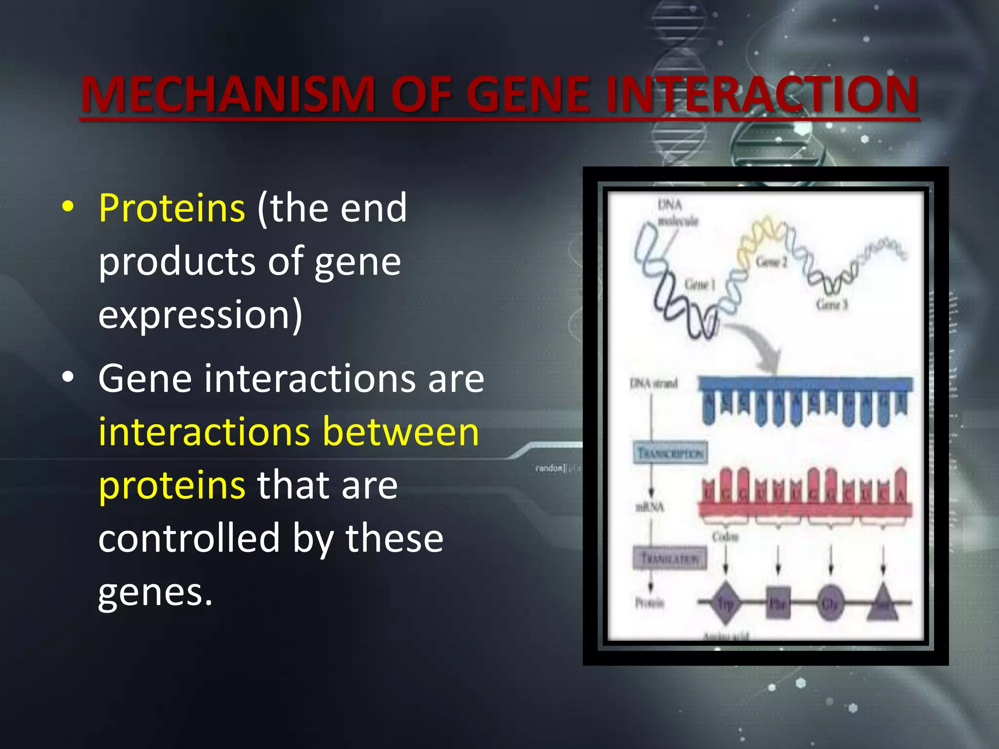 Gene interaction and diseases | PPTX