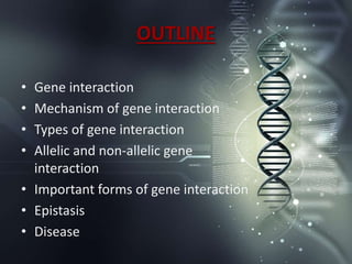 Gene interaction and diseases | PPTX | Genetics | Science
