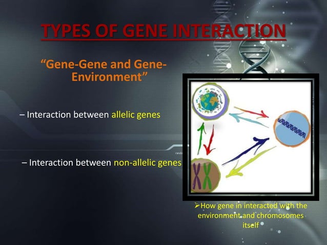 Gene interaction and diseases | PPTX | Genetics | Science