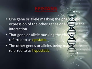 Gene interaction and diseases | PPTX | Genetics | Science