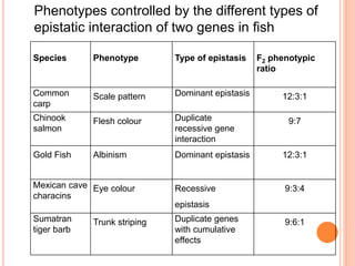 Gene-interactions.ppt
