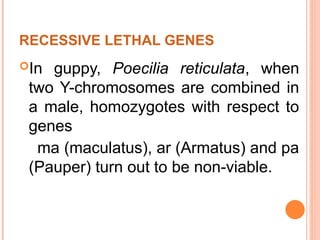 Gene-interactions presentation ppt lercvcturer.ppt