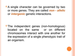 Gene-interactions presentation ppt lercvcturer.ppt