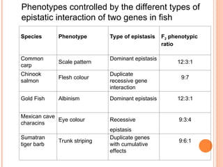 Gene-interactions presentation ppt lercvcturer.ppt