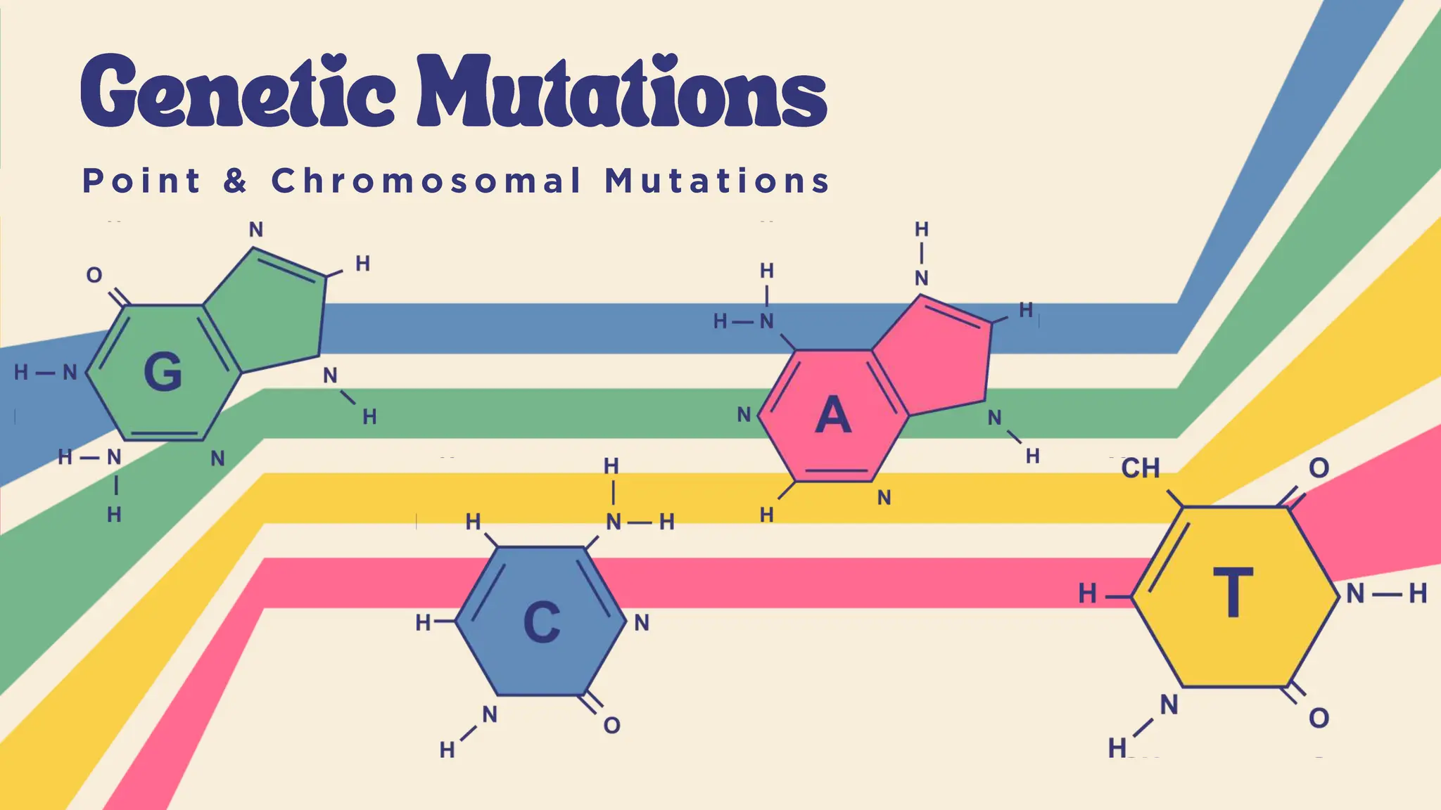 Gene-Mutation-COT-3-Science10 Lesson.pptx