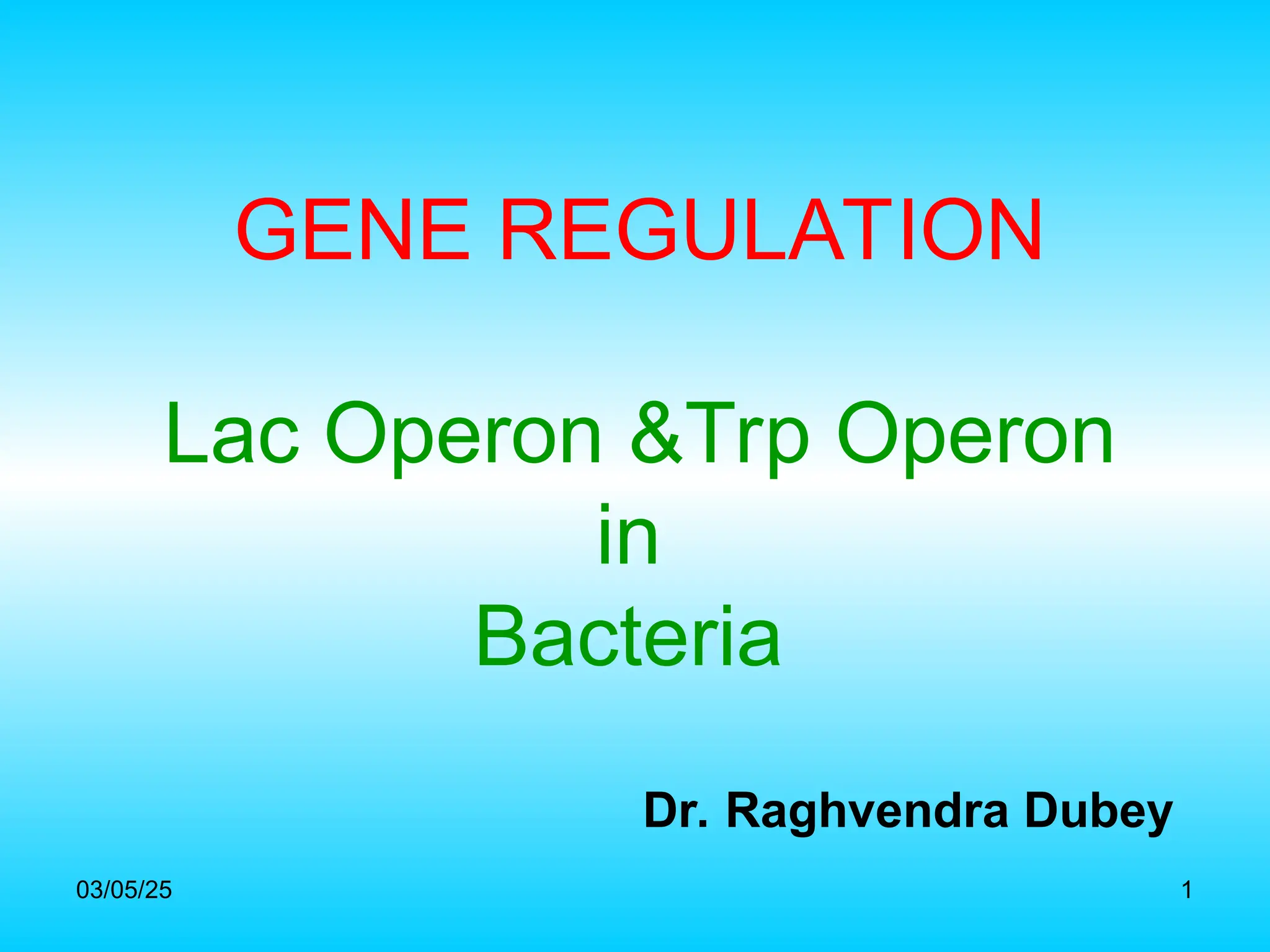 Gene-Regulation-Lac-Operon-Trp-Operon.ppt