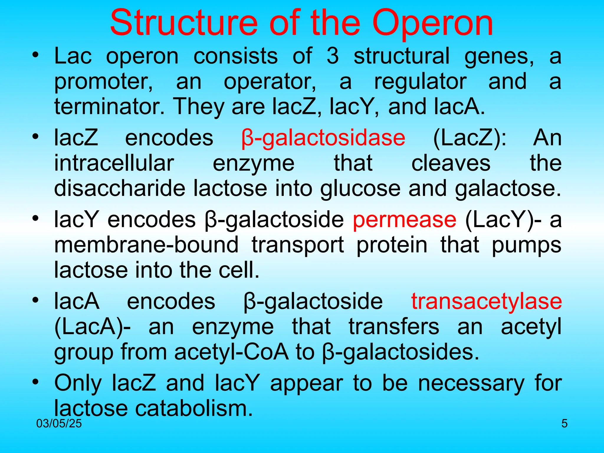 Gene-Regulation-Lac-Operon-Trp-Operon.ppt