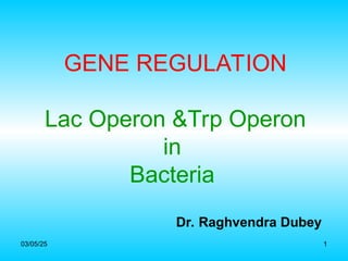 Gene-Regulation-Lac-Operon-Trp-Operon.ppt