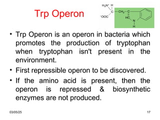 Gene-Regulation-Lac-Operon-Trp-Operon.ppt