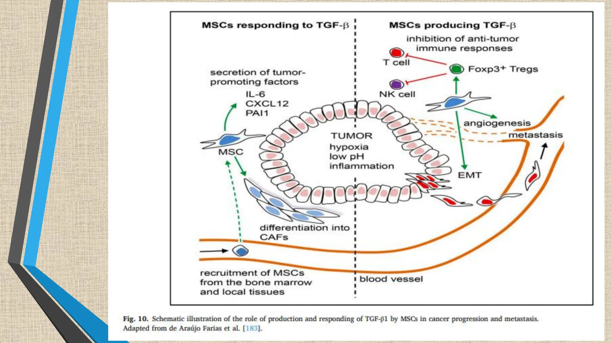 use of gene-therapy in treatment of cancer.pdf