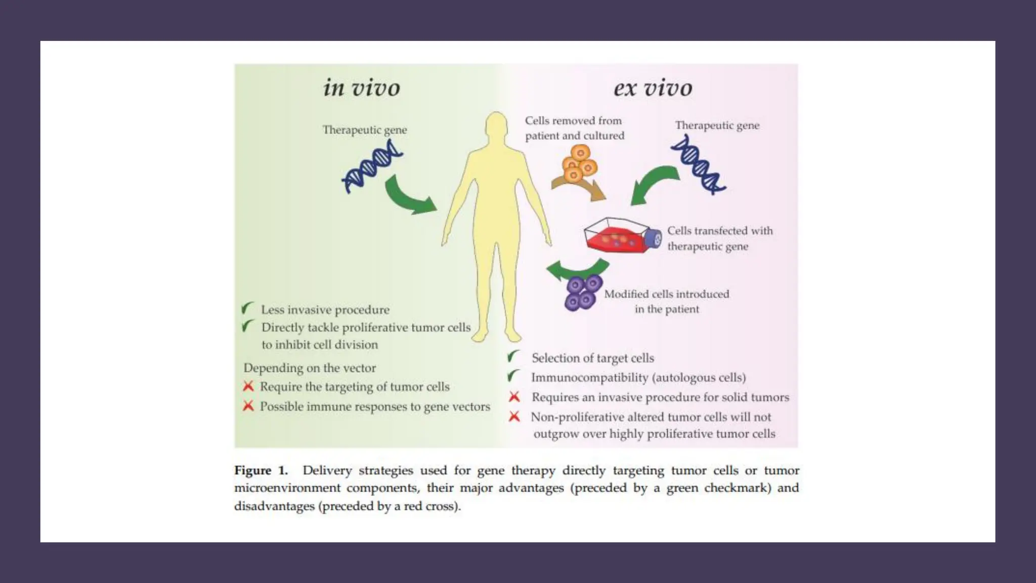 use of gene-therapy in treatment of cancer.pdf