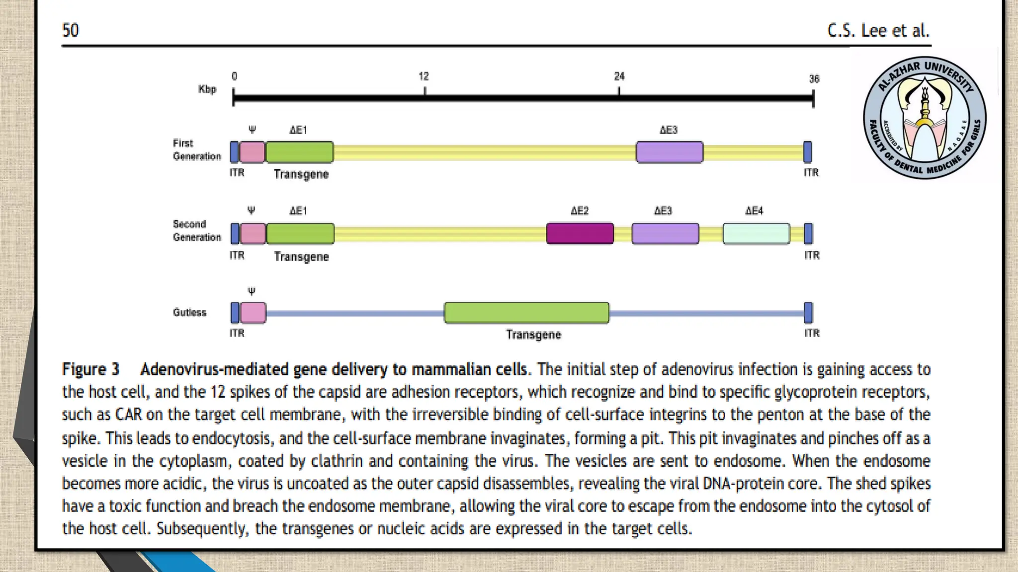 use of gene-therapy in treatment of cancer.pdf
