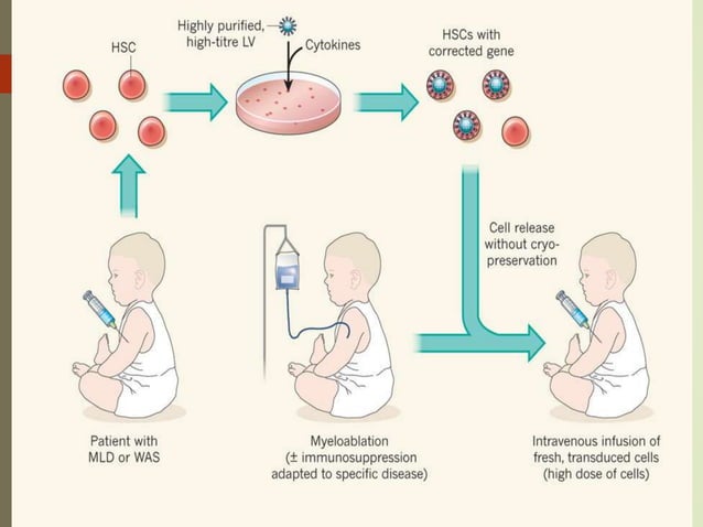 Gene therapy | PPTX | Physical Therapy | Wellness