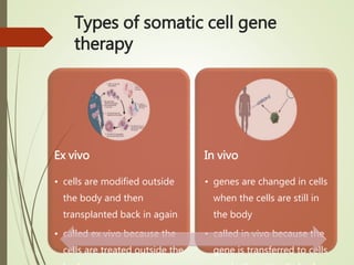 Somatic Gene Therapy