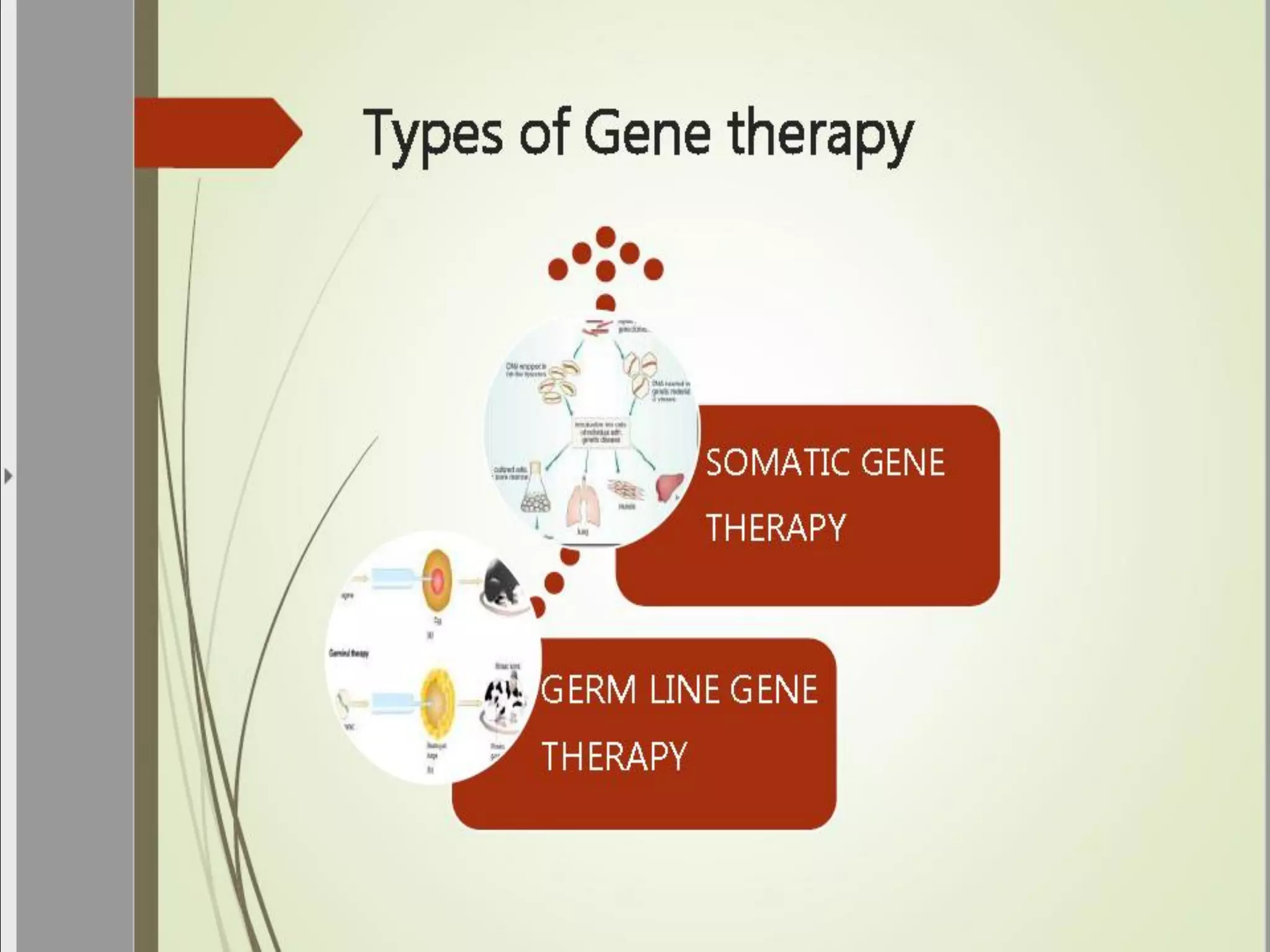 Gene therapy introduction | PDF