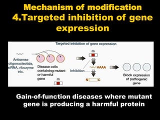 Gene therapy introduction | PDF