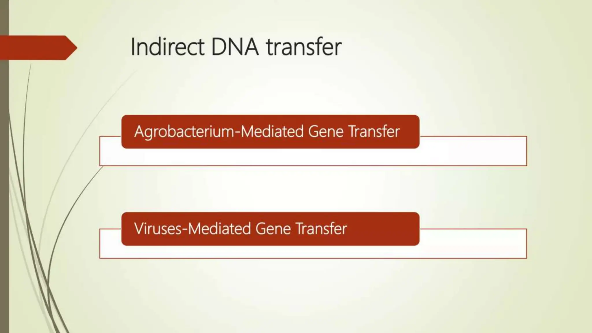 GENE-TRANSFER-METHODS.pptx.BSFLECTURENOTE | PPT