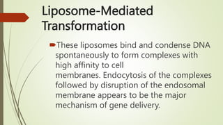 GENE-TRANSFER-METHODS.pptx.BSFLECTURENOTE | PPTX