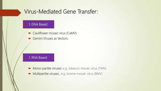 GENE-TRANSFER-METHODS.pptx.BSFLECTURENOTE | PPT